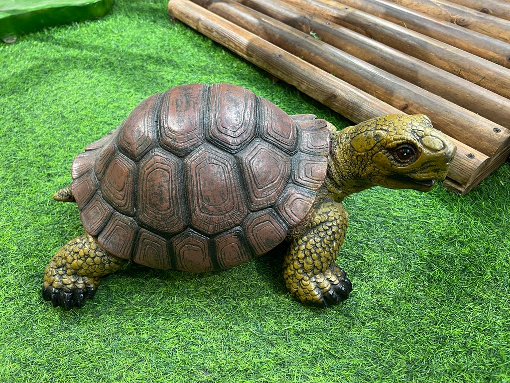 Large Tortoise Statue – John Cowell Limited