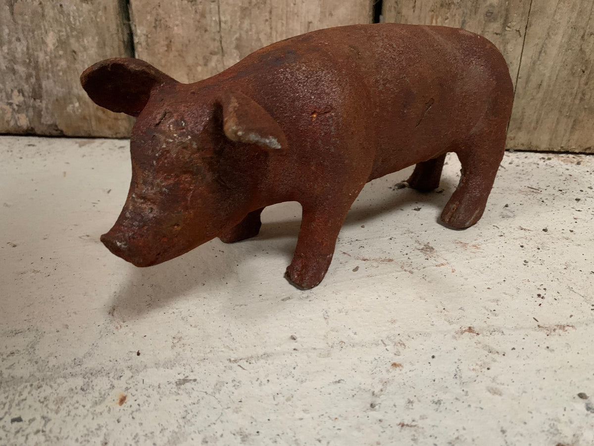 Cast Iron Rusty Pig Statue (Small) – John Cowell Limited